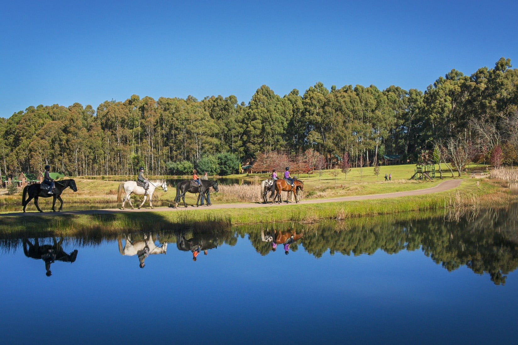 The festive season for horse lovers – HQ Magazine