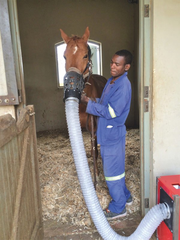Equine salt spa – HQ Magazine