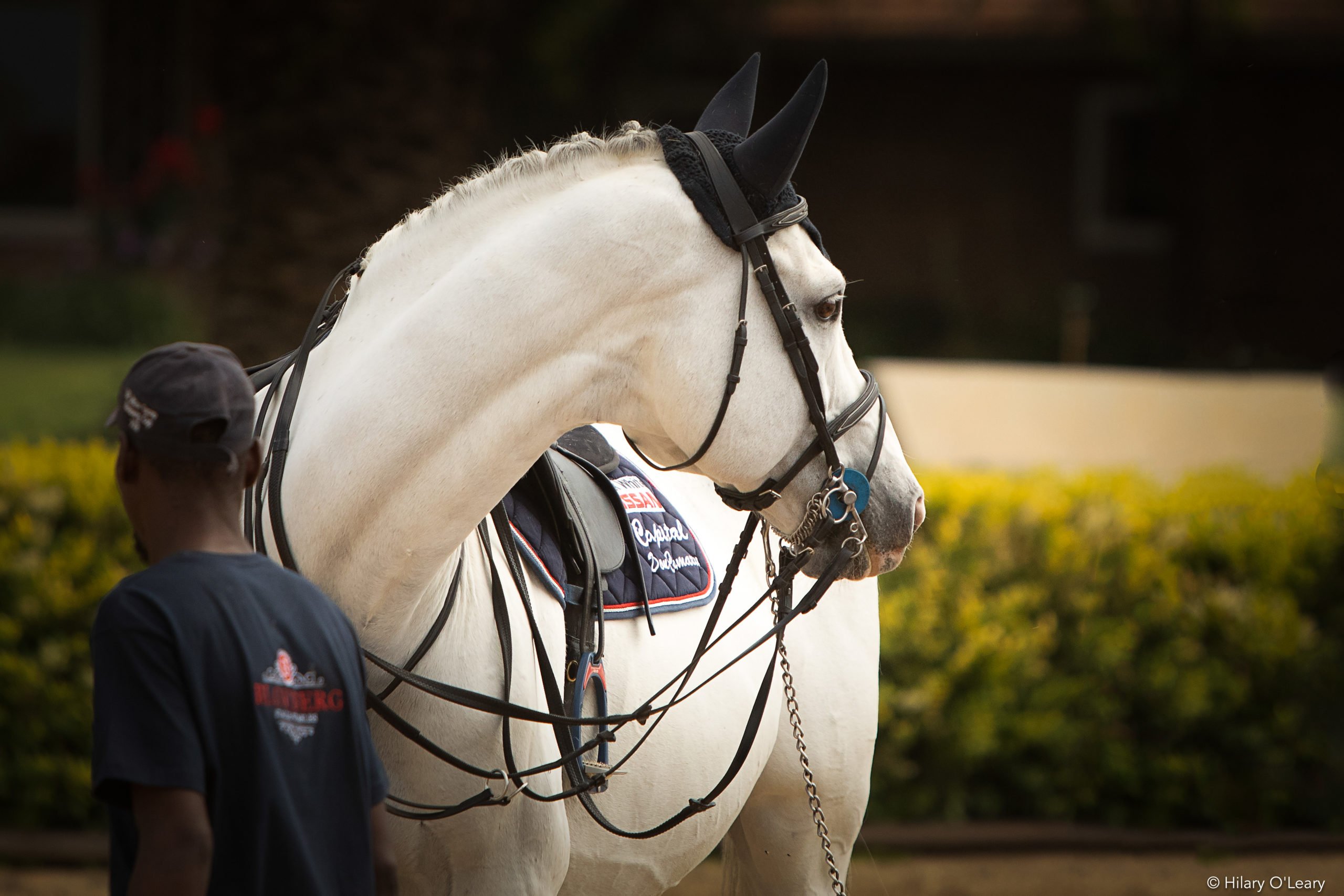 Capital Stud – looking back on 2018 – HQ Magazine