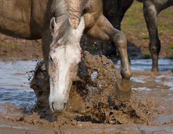 Mud fever – HQ Magazine