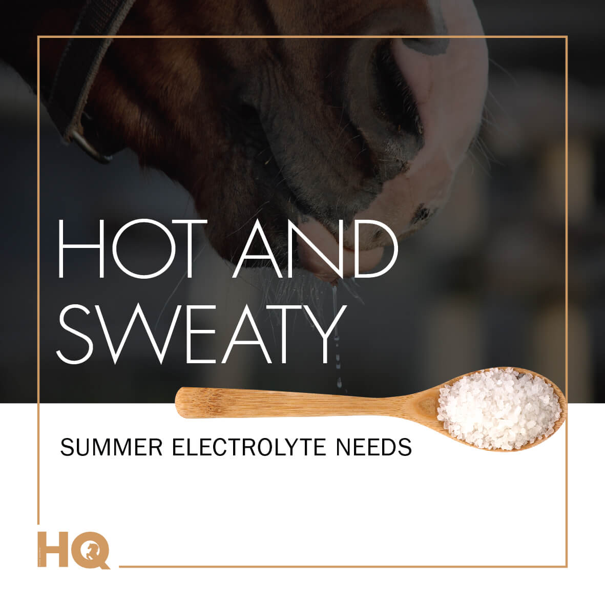 Summer electrolyte needs – HQ Magazine