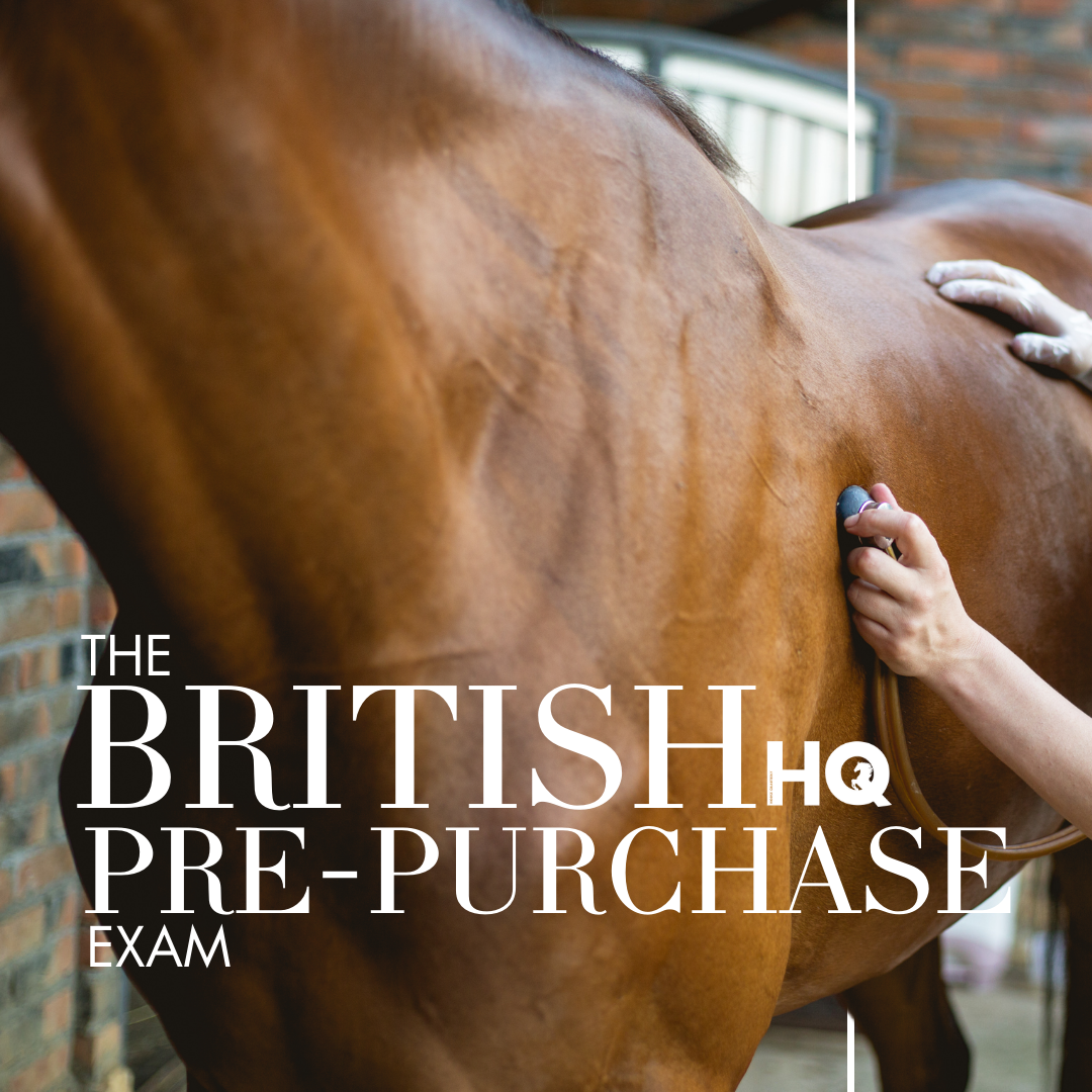 THE BRITISH PRE-PURCHASE EXAM | HQ Magazine