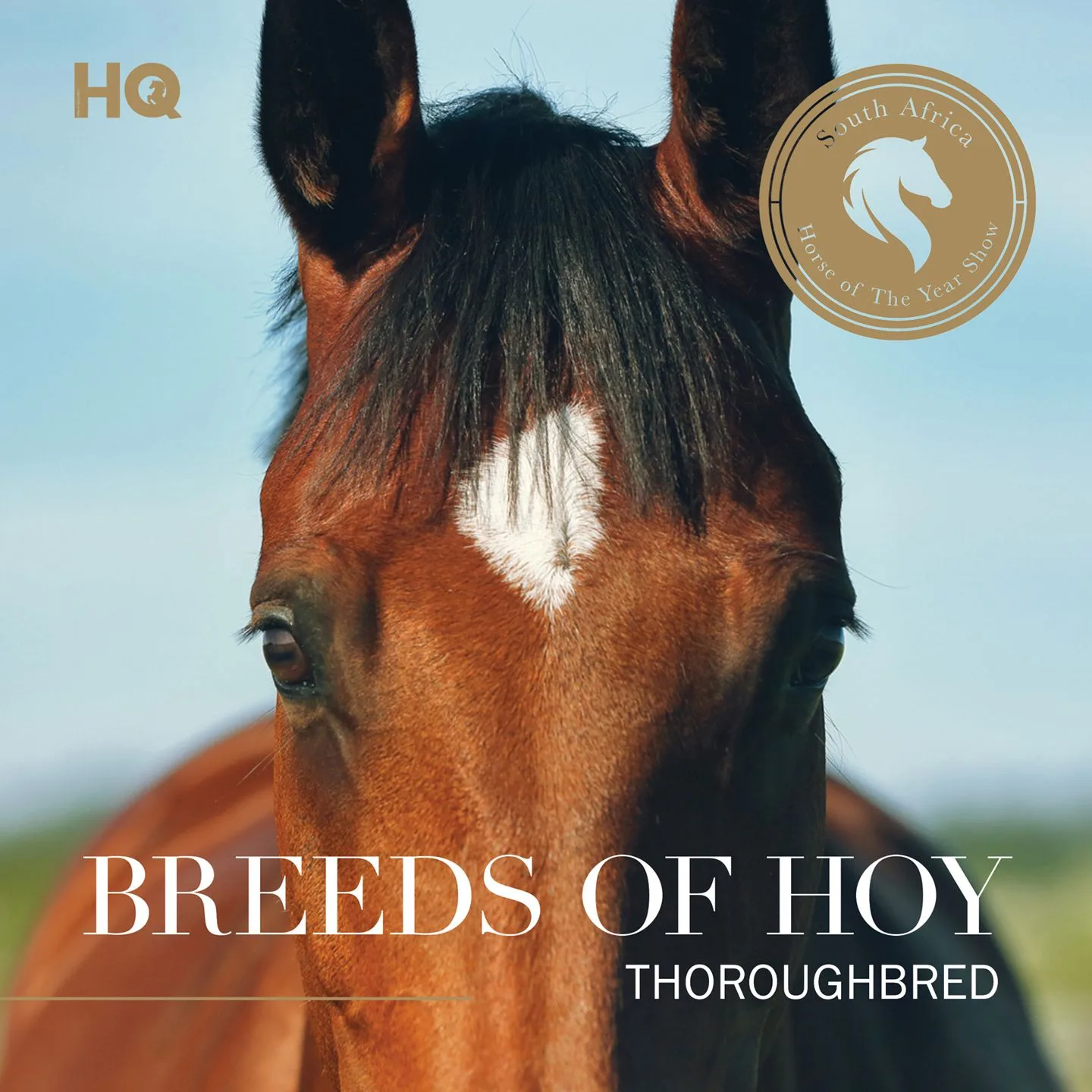 BREEDS OF HOY: THE THOROUGHBRED | HQ Magazine